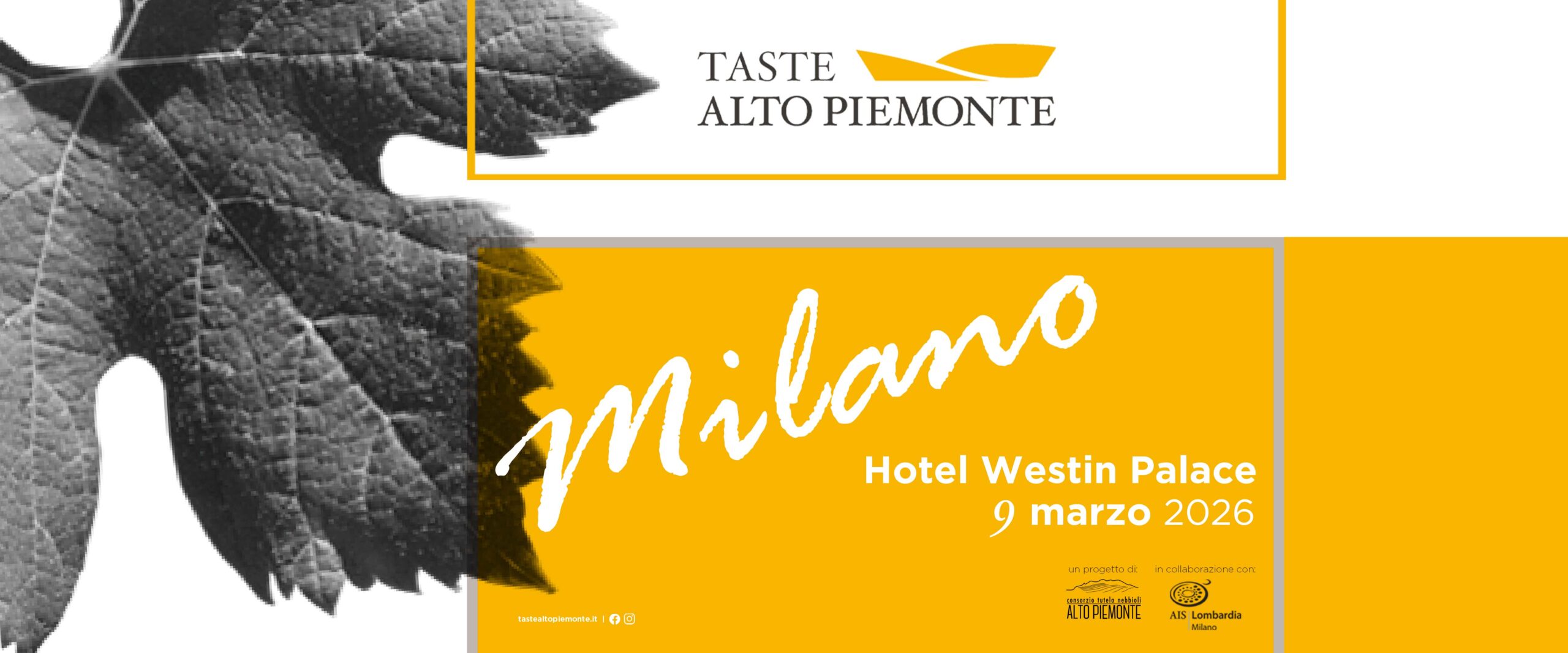 Città del Vino - TASTE ALTO PIEMONTE 2026 – LA PIÙ GRANDE ...
